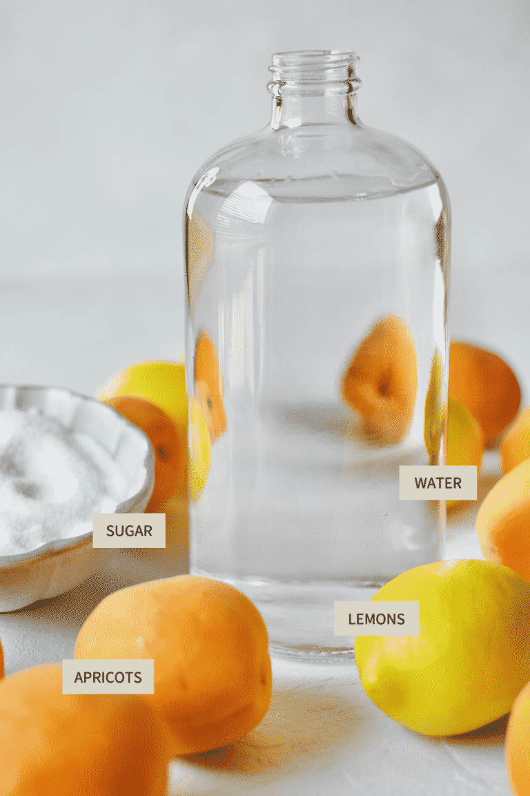 Homemade Apricot Nectar Juice - KendellKreations