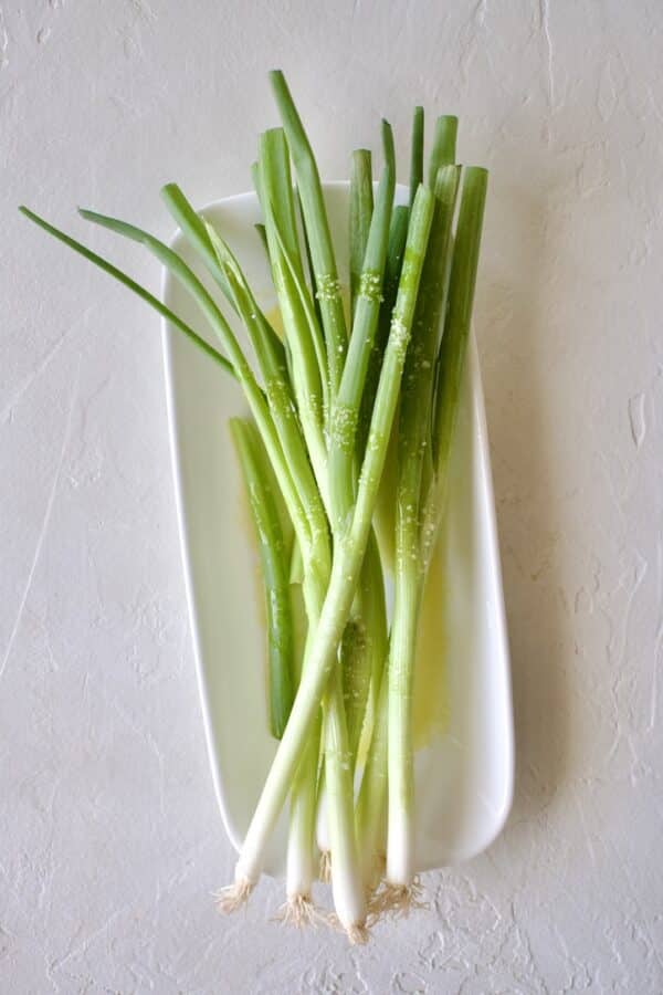 Scallion Cream Cheese - Roasted - KendellKreations